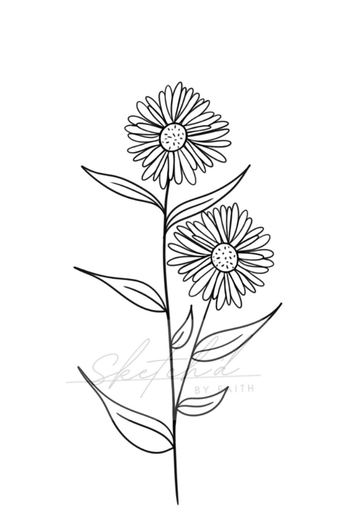 September Birth Flower Aster - Etsy