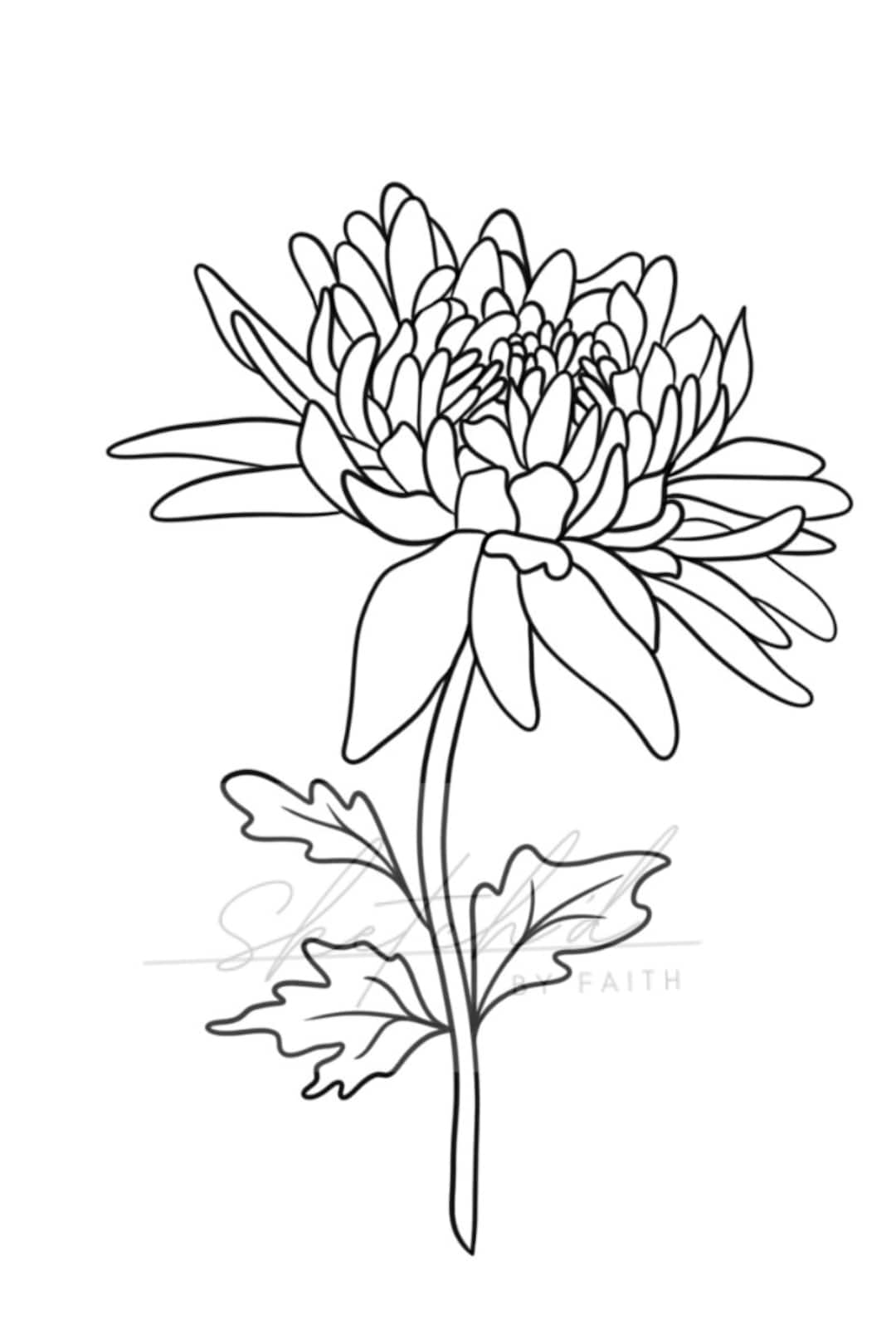 November Birth Flower Chrysanthemum - Etsy