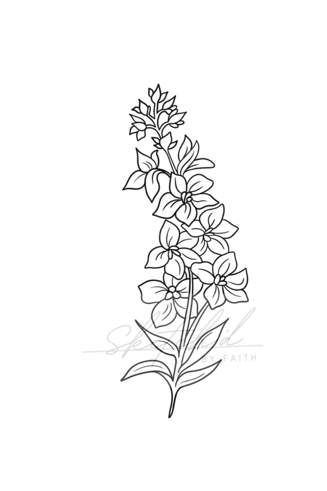 July Birth Flower Larkspur SVG - Etsy