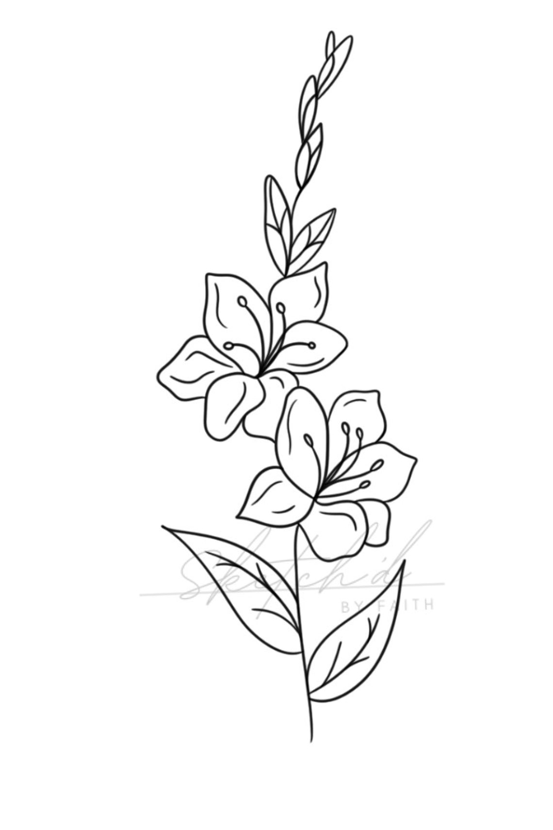 August Birth Flower Gladiolus - Etsy