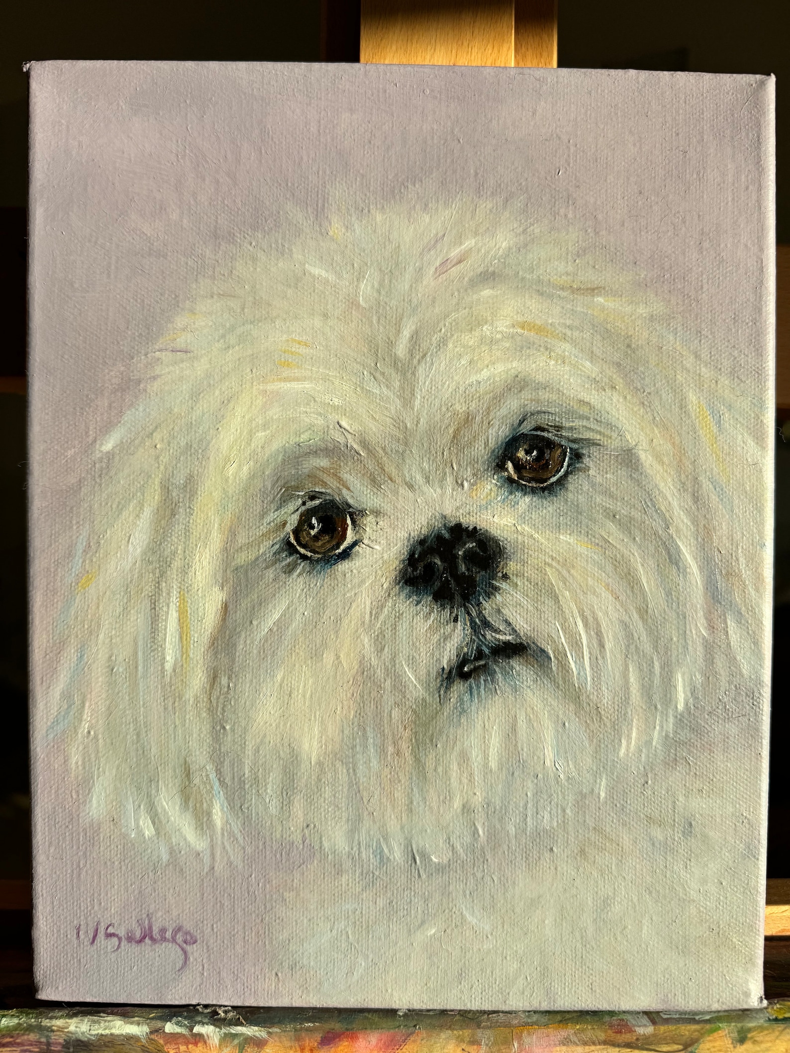 Custom Painted Pet Portraits - Etsy