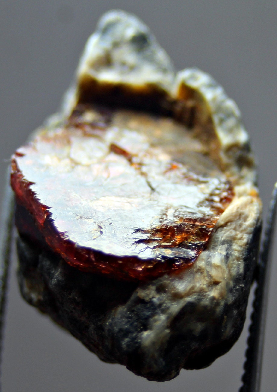 38.0 CT Red Blood Garnet Combine Golden Pyrite Crystal Specimen Natural ...