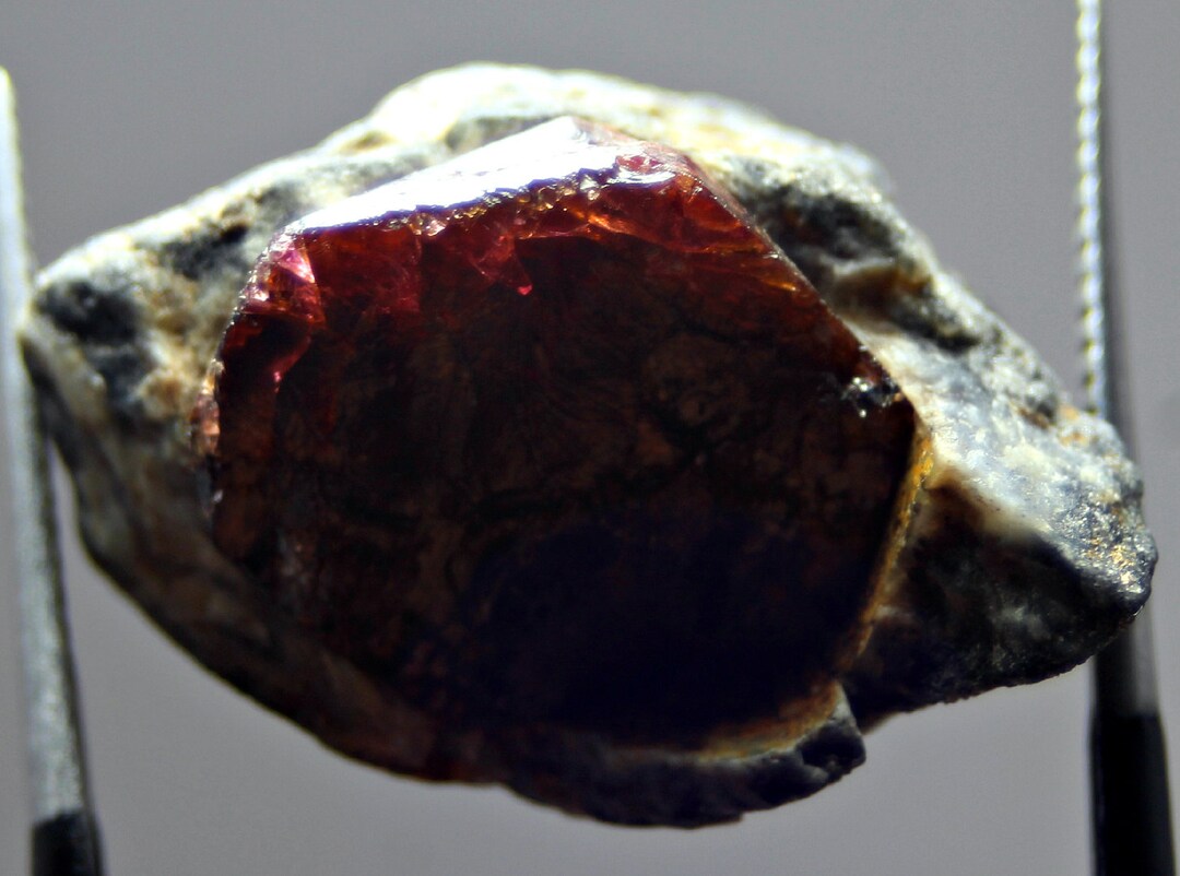 38.0 CT Red Blood Garnet Combine Golden Pyrite Crystal Specimen Natural ...