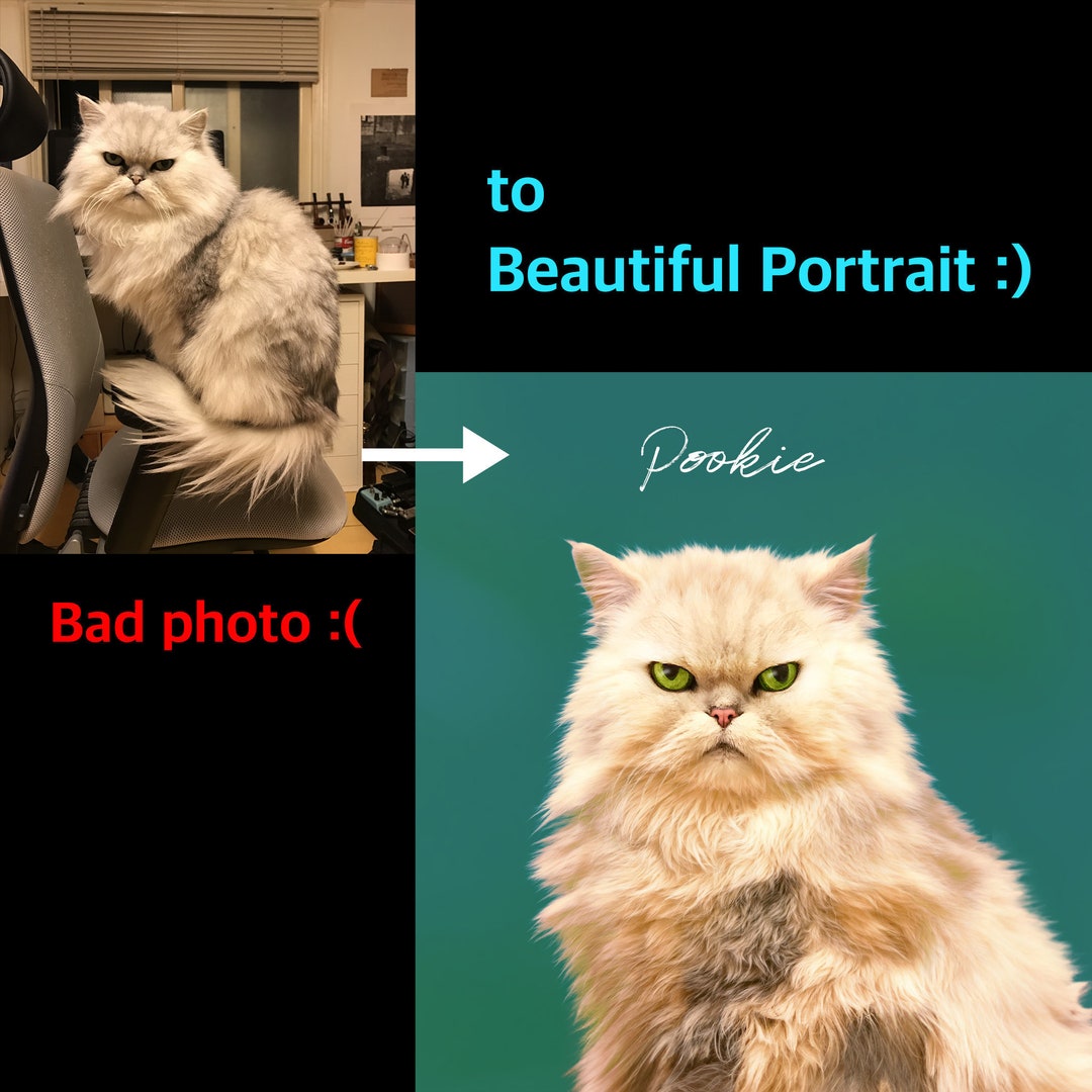 Custom Cat Portrait, Lovely Cat Photo, Cat Memorial, Make Beautiful and ...