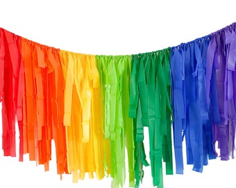 Rainbow Fringe Backdrop - Etsy