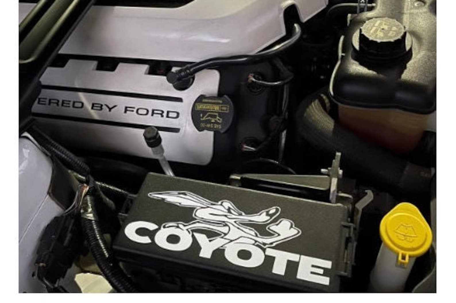 Mustang Coyote Decal - Etsy