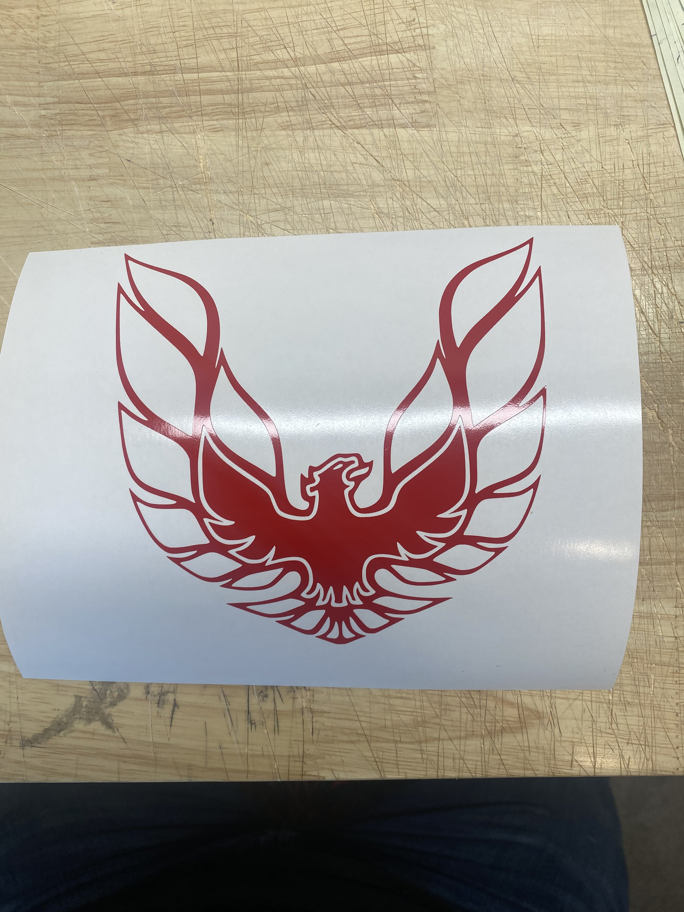Trans Am Decal Pair - Etsy