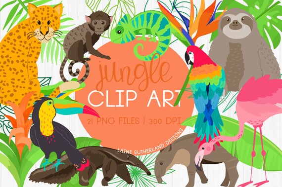 Forest Animals and Plants Clip Art Set - Etsy
