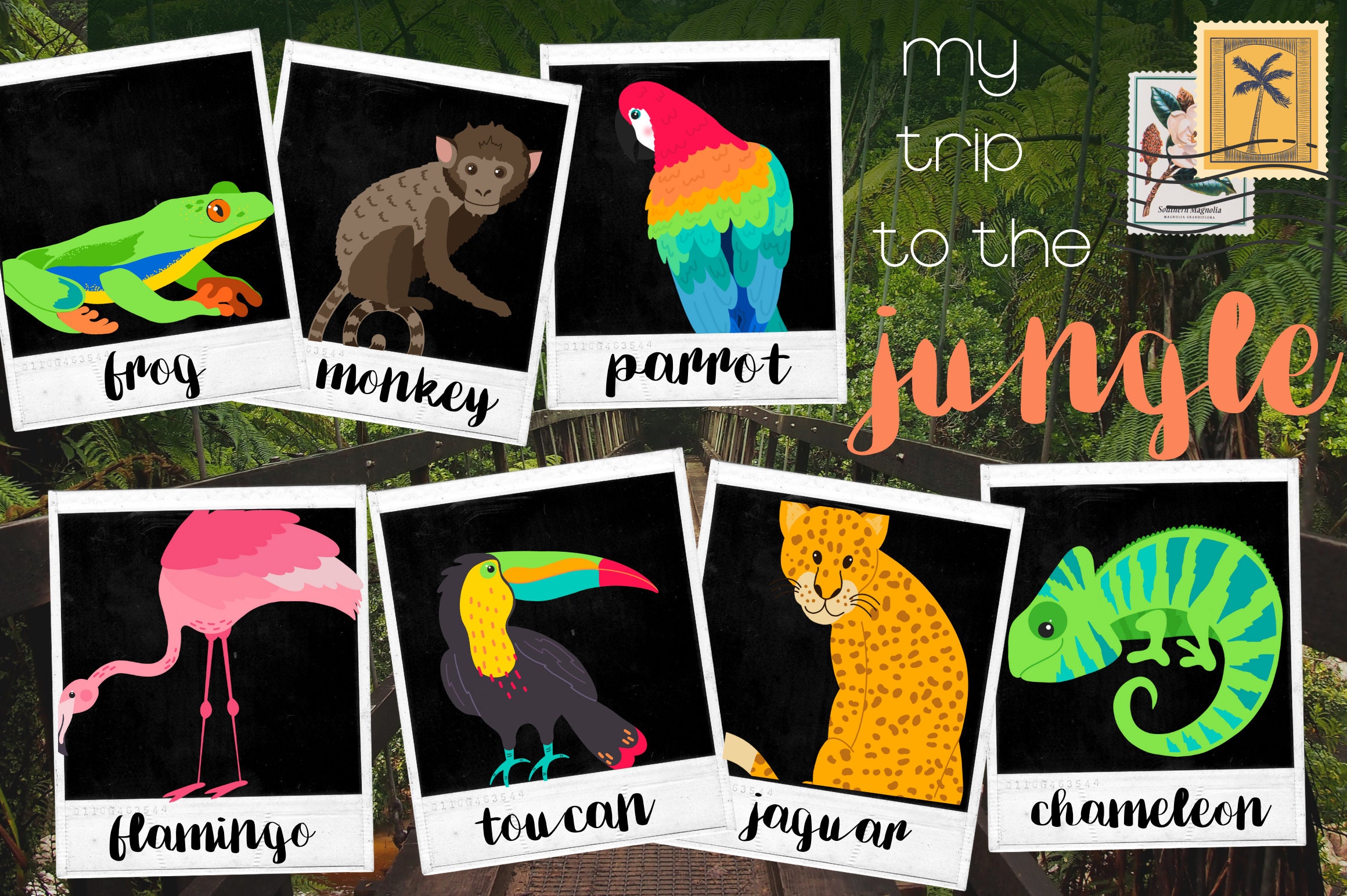 Forest Animals and Plants Clip Art Set - Etsy