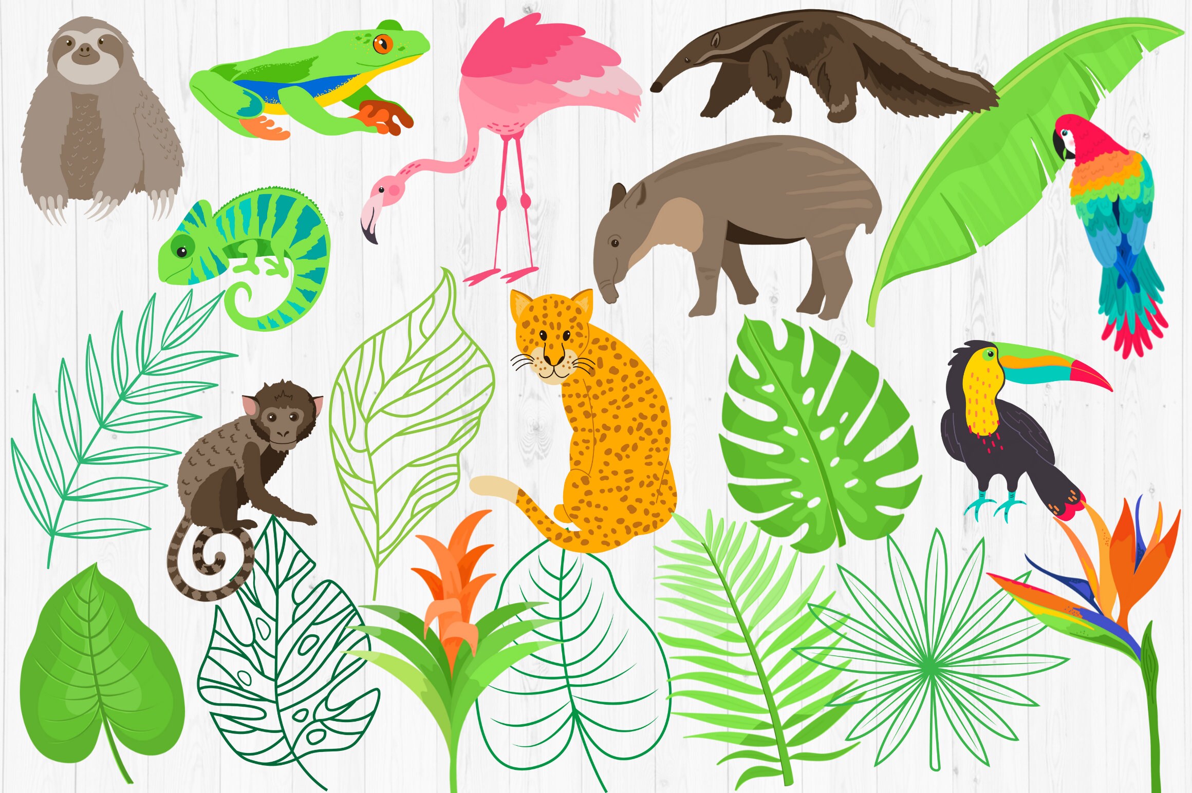 Forest Animals and Plants Clip Art Set - Etsy