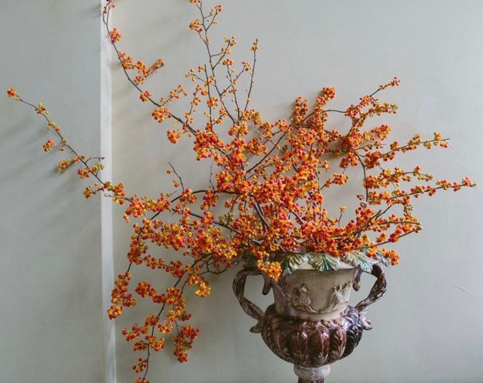 Real Bittersweet. 8-12” Tall, 8-10 Stems per Bundle. Used for Fall ...