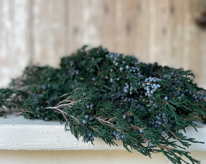 Preserved Juniper Greens With Berries: Christmas Holiday Decor - Etsy