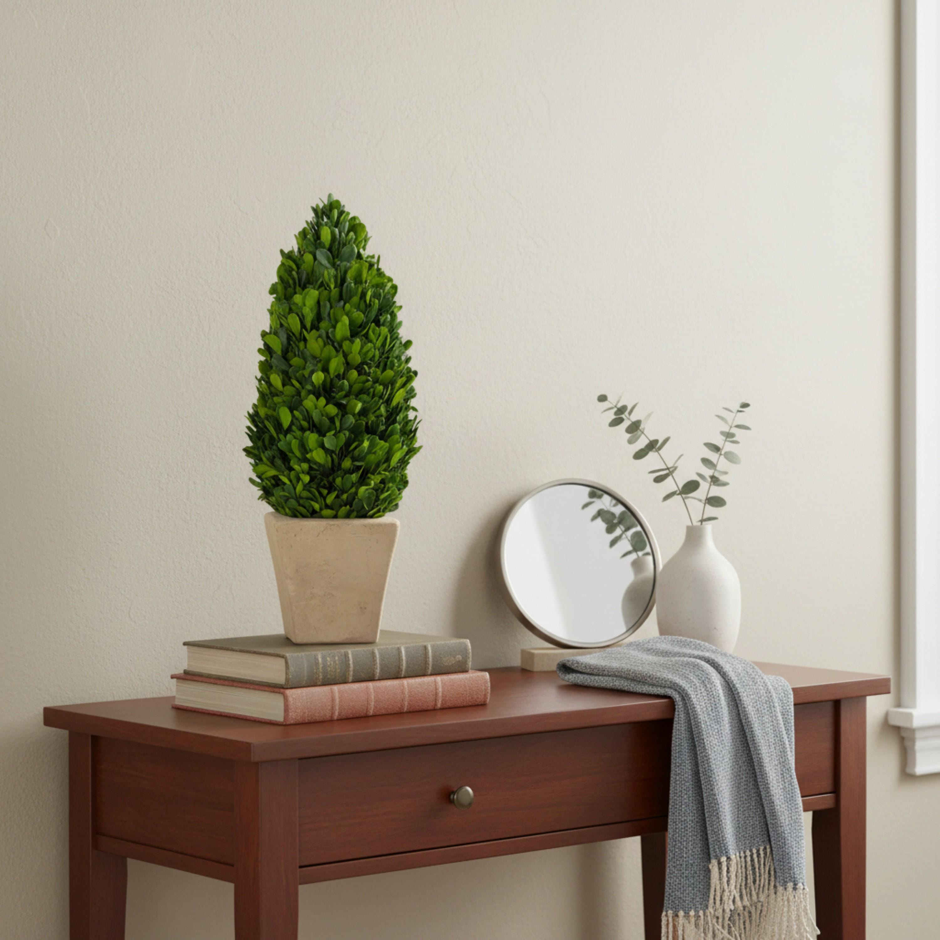 Real Preserved Cone-shaped Boxwood Topiary / Sizes: 12", 16", 20" Tall ...