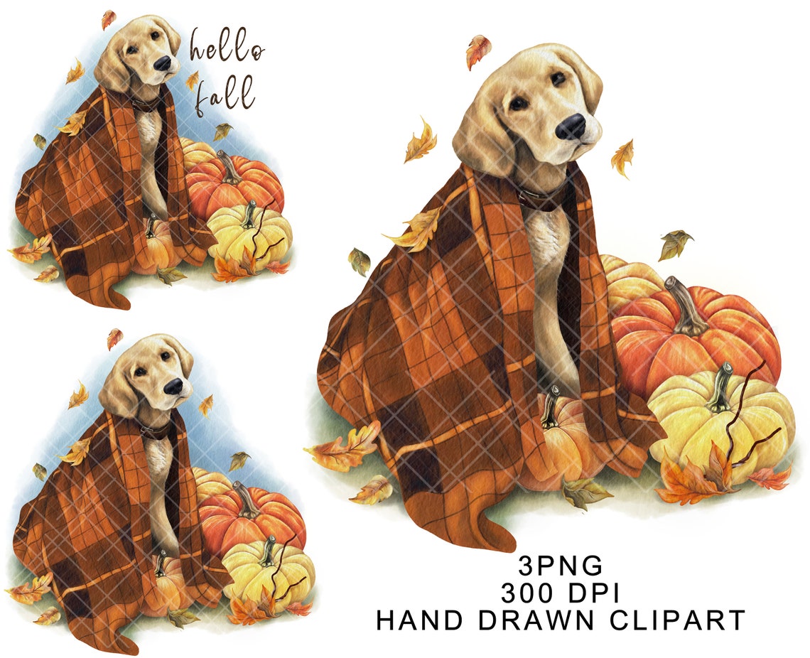Hello Fall Dog PNG Clipart Autumn Design Cute Pumpkins - Etsy