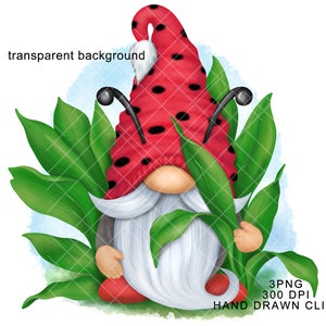 Ladybug Gnome PNG Clipart Summer Cute Ladybird Gonk Birthday Lady Bug ...