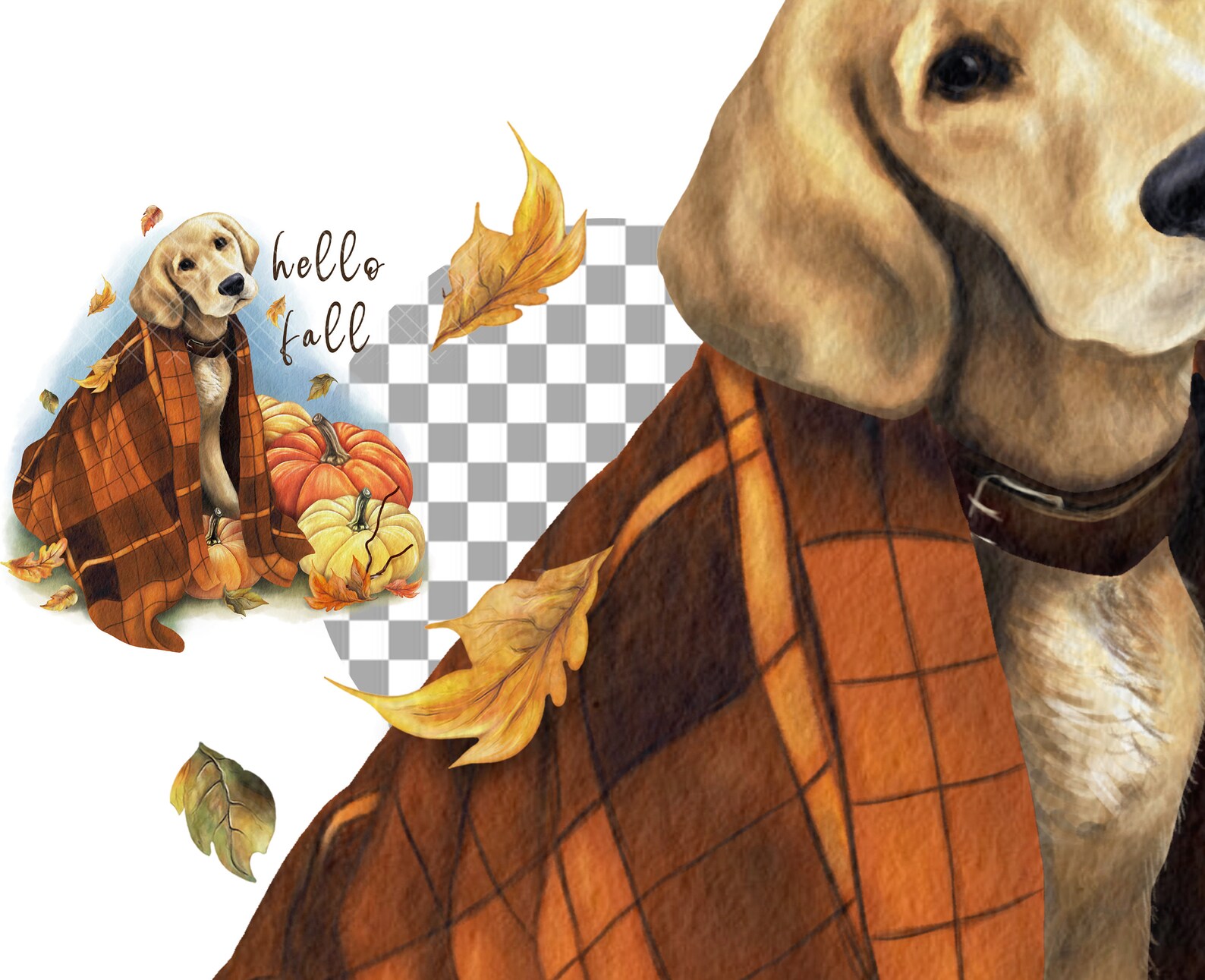 Hello Fall Dog PNG Clipart Autumn Design Cute Pumpkins Watercolor ...