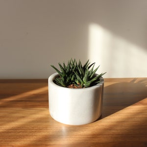 Marble Pot Original Grey Marble Pot Marble Vase Pots for | Etsy