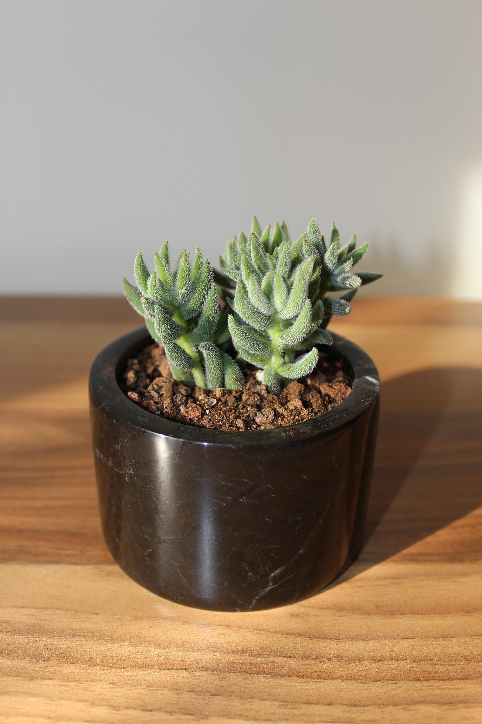 Marble Pot Original Grey Marble Pot Marble Vase Pots for - Etsy