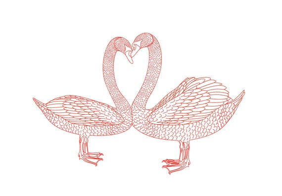 Swan Vector line drawing illustration AI Cdr Dxf eps pdf | Etsy