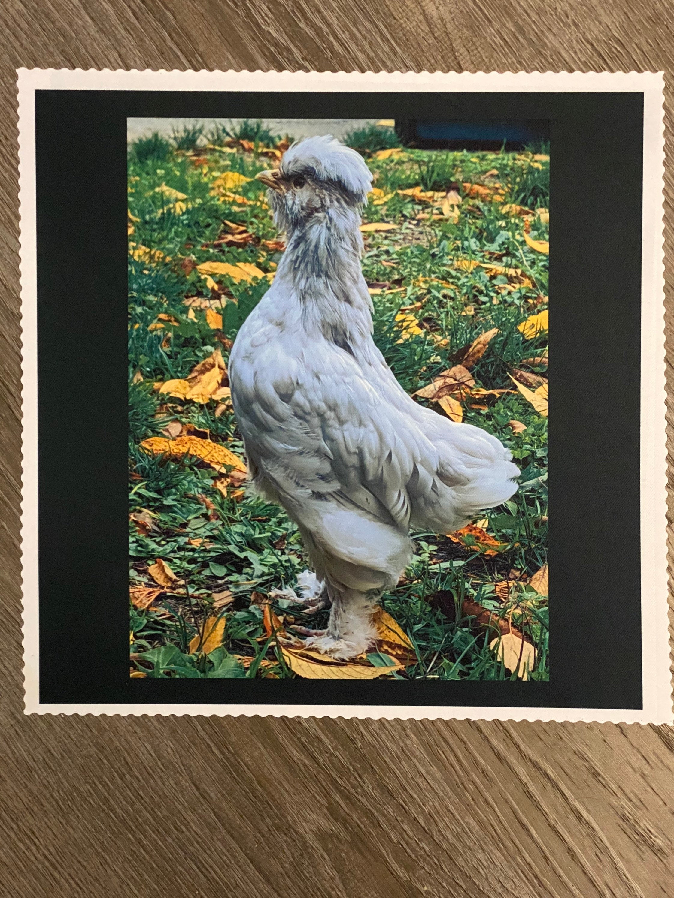 Photo Panels Photo Fabric Picture Fabric Photo Quilt - Etsy