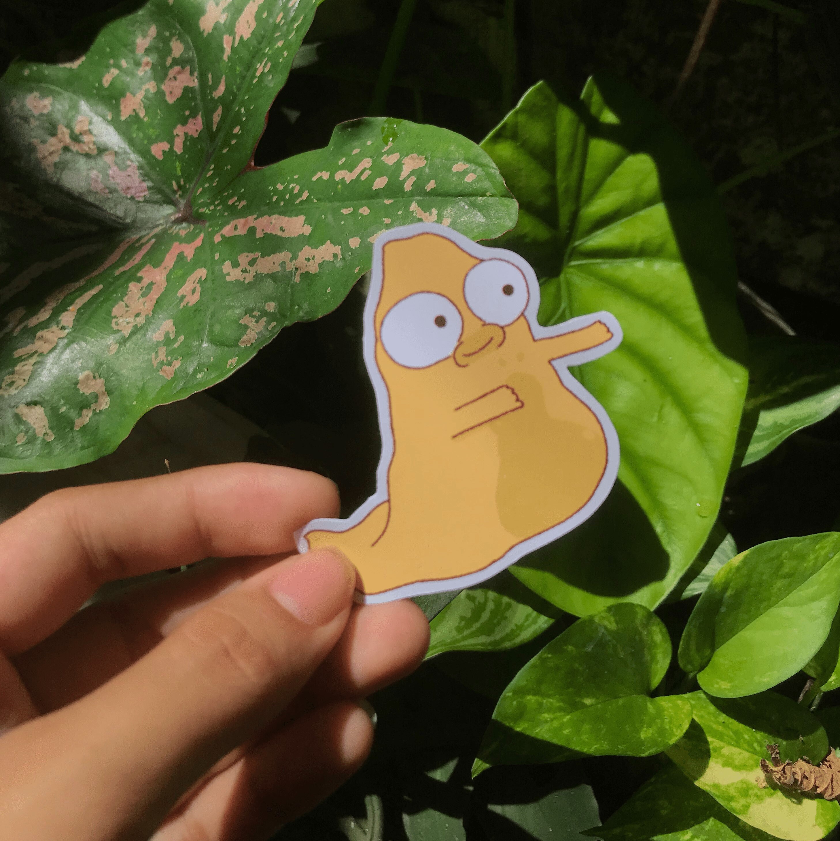 Bundle Amaro Collectives Pupa Solar Opposites Sticker| Laptop Sticker ...