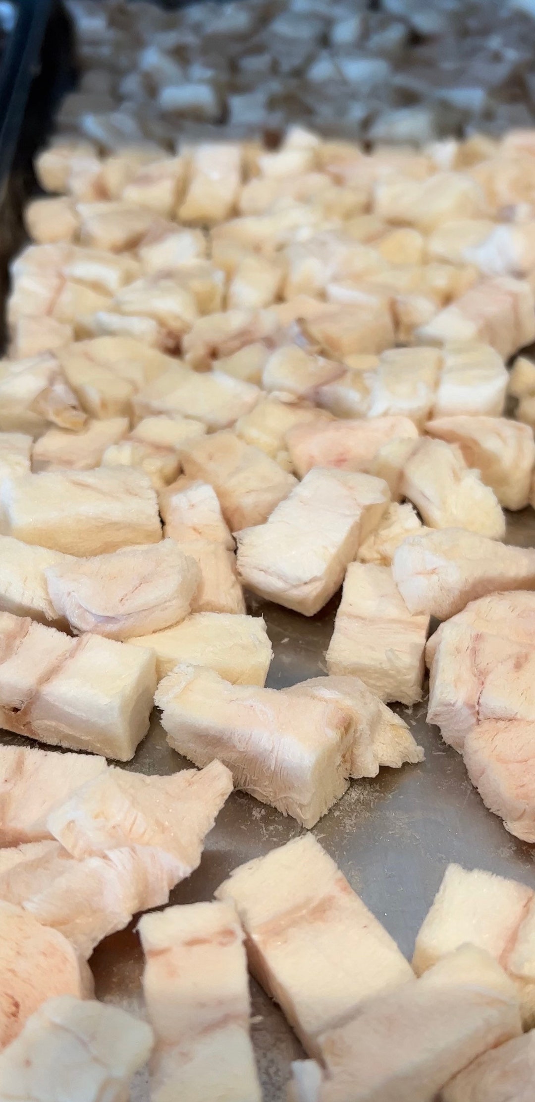 Freeze-dried Icelandic Cod Treats for Cats & Dogs – Wild-caught ...