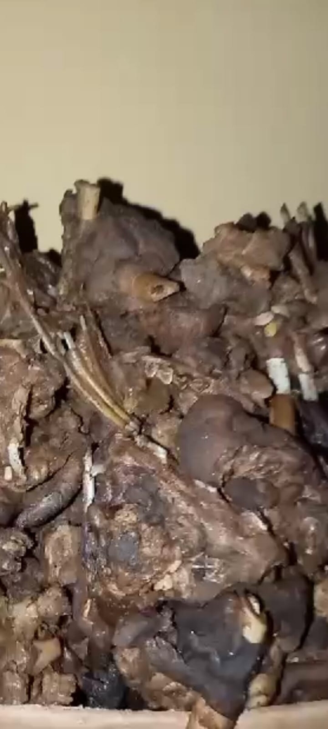 Firewood Smoked Nigerian Native Goat Meat(mkpi) 1KG - Etsy