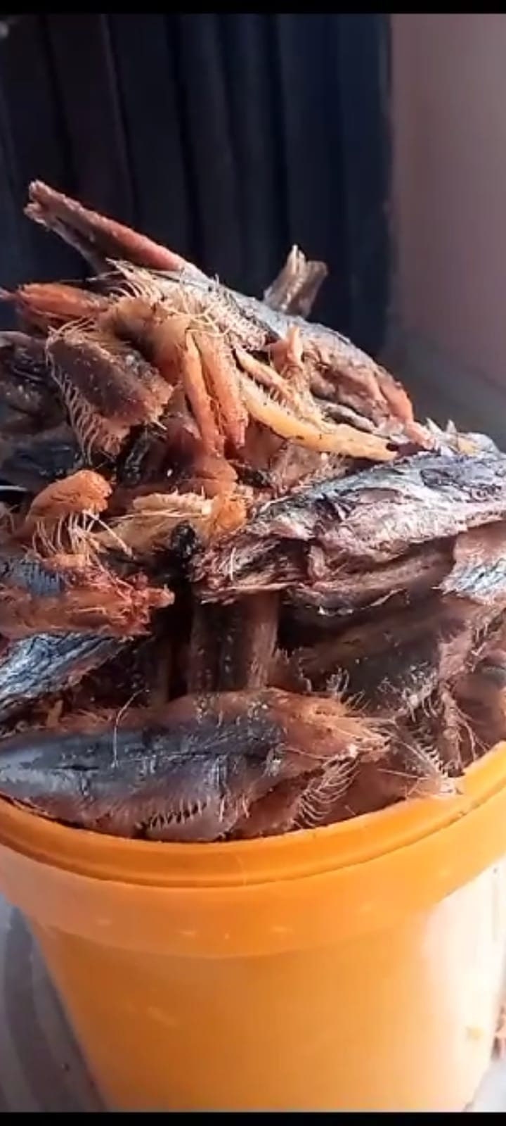 Smoked Dried Calabar Bonga Fish Shawa 1kg+extra 500g - Etsy UK