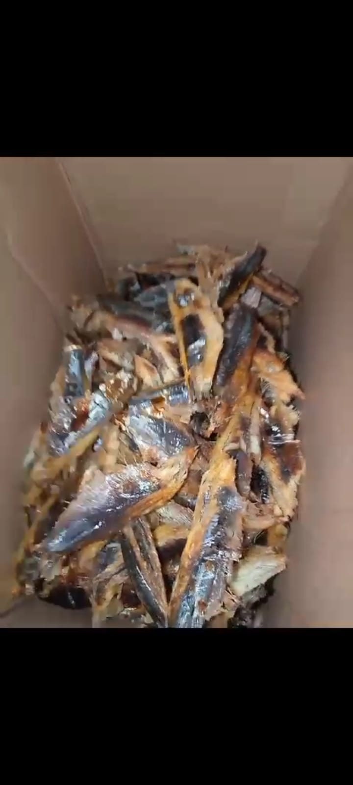 Smoked Dried Calabar Bonga Fish Shawa 1kg+extra 500g - Etsy UK