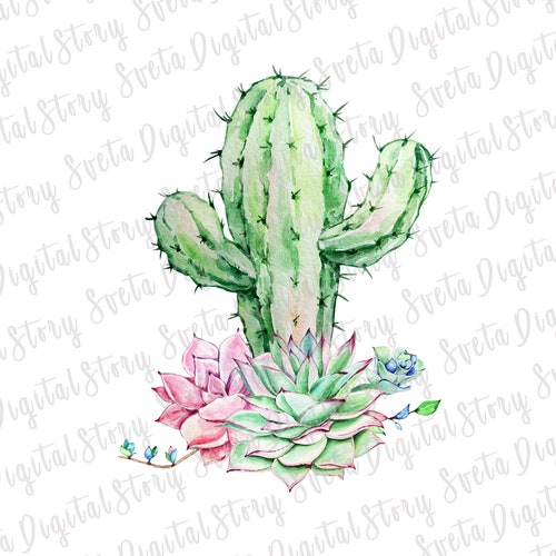 Cactus Sublimation Designs Downloads Watercolor Pink Cactus - Etsy