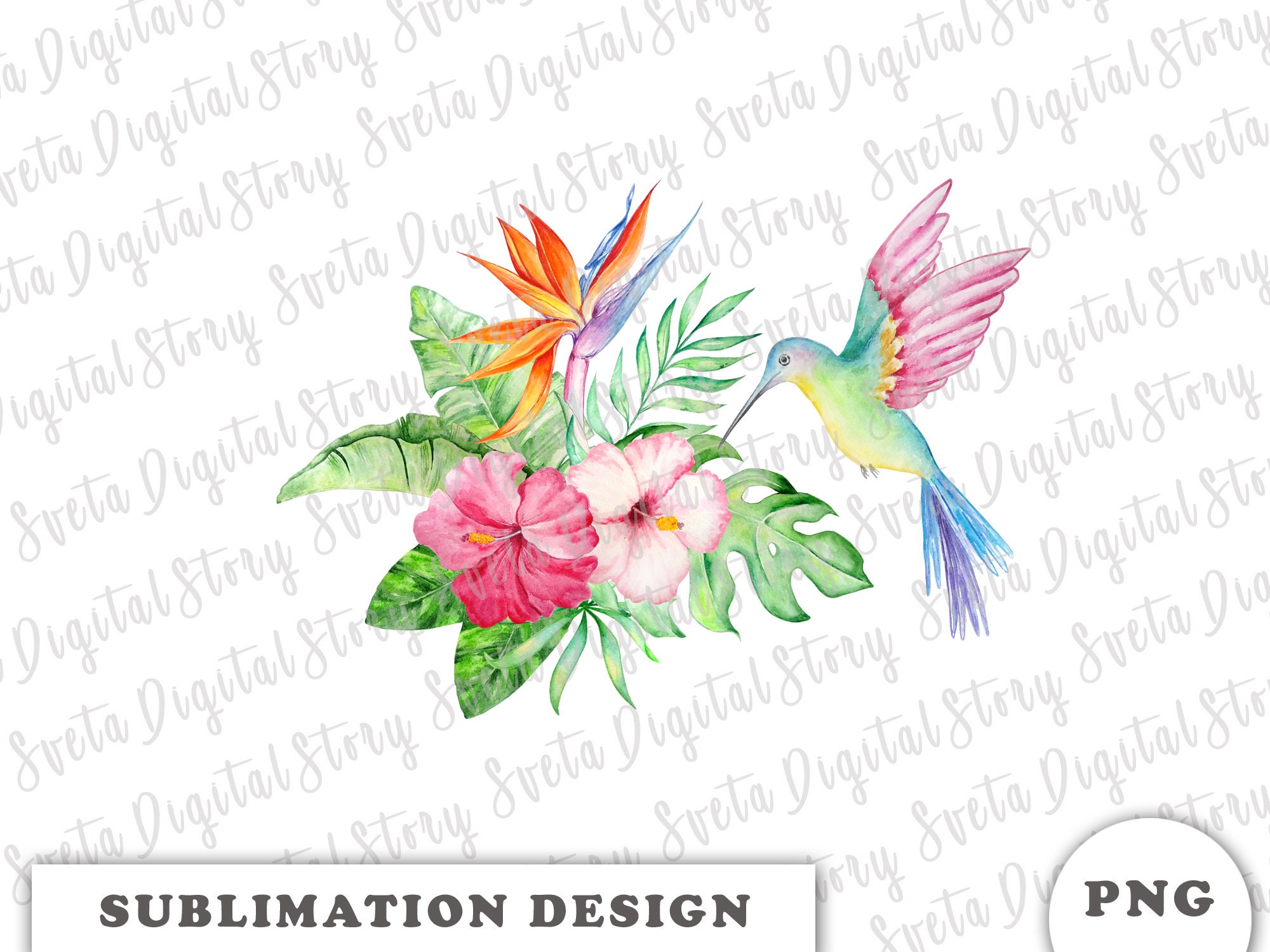 Watercolor Hummingbird Clipart Watercolor Exotic Bird - Etsy