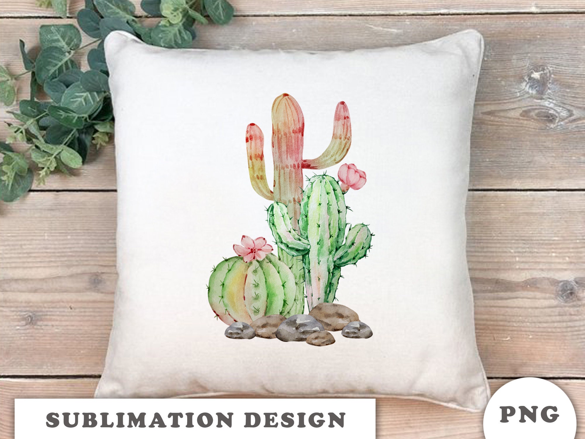 Cactus Sublimation Designs Downloads Watercolor Cactus Png - Etsy