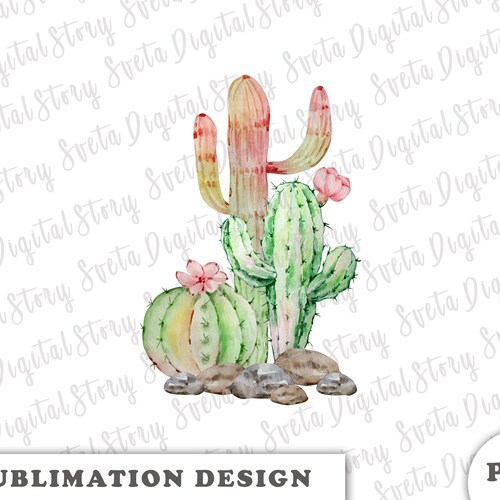 Cactus Sublimation Designs Downloads Watercolor Pink Cactus - Etsy