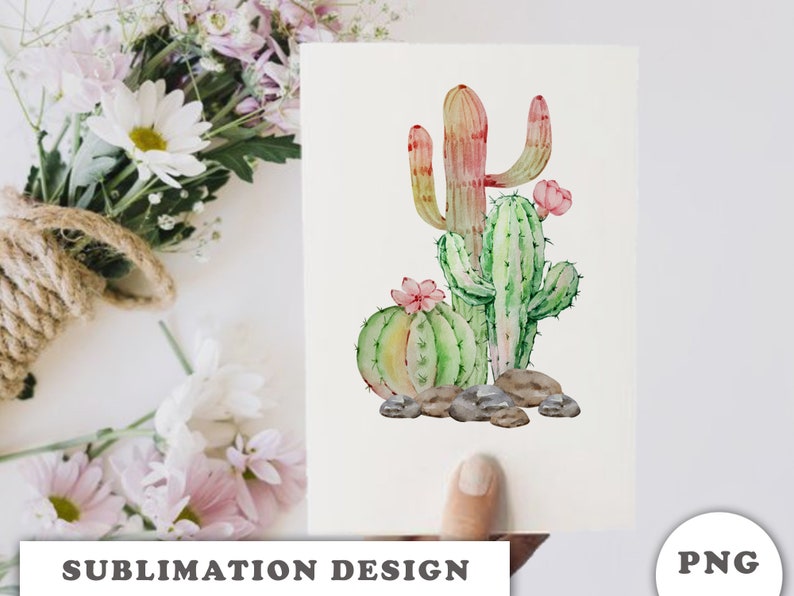 Cactus Sublimation Designs Downloads Watercolor Cactus Png - Etsy