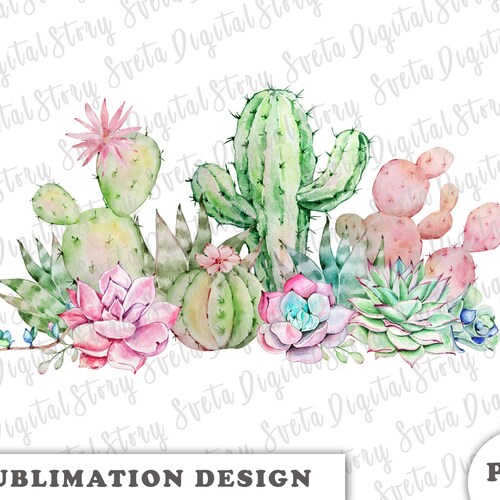 Cactus Sublimation Designs Downloads Watercolor Pink Cactus - Etsy