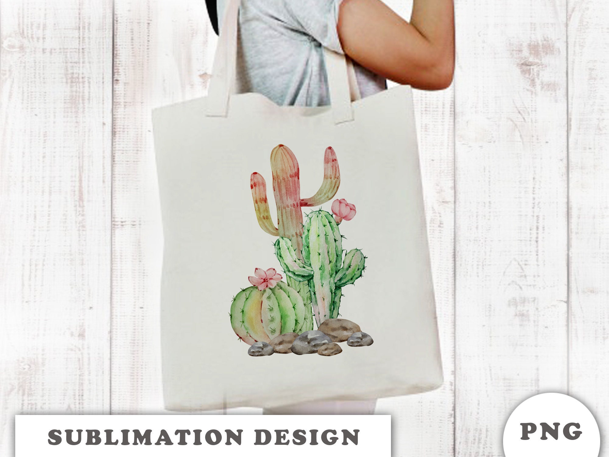 Cactus Sublimation Designs Downloads, Watercolor Cactus Png, Floral ...