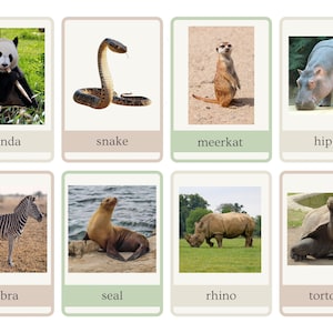 Zoo and Safari Animal Flashcards Printable Download Montessori Style ...
