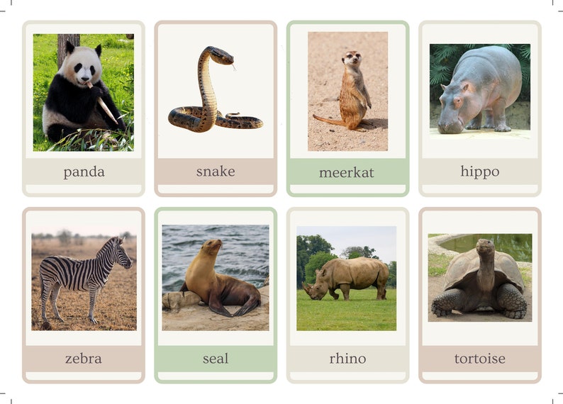 Zoo and Safari Animal Flashcards Printable Download Montessori Style ...