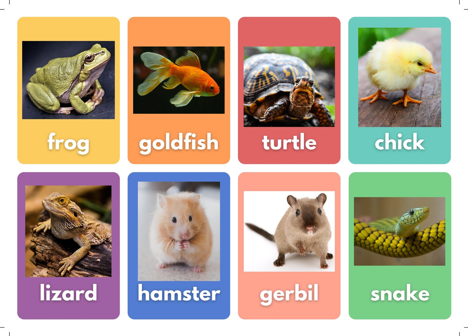 Animals and Pets Flashcards (set of 48) - PRINTABLE PDF Digital ...