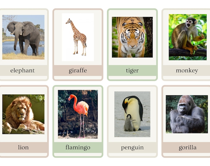 Face and Body Parts Flashcards Printable Download Montessori Style Set ...