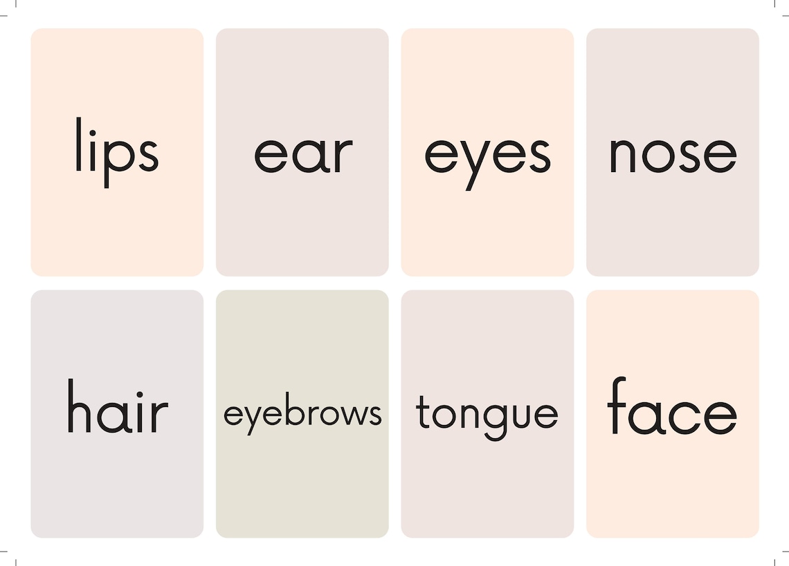 Face and Body Parts Flashcards Printable Download Montessori | Etsy Canada
