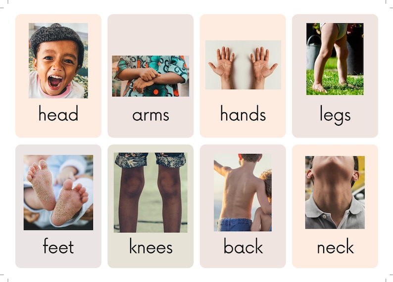 Montessori Body Parts Flashcards: Printable Learning Cards (digital ...