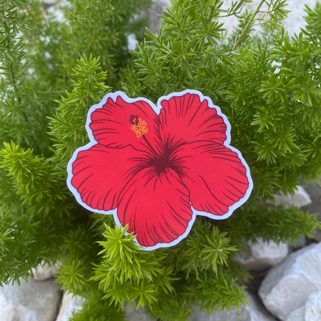 Flor De Maga Sticker | Amapola Sticker | Puerto Rico Sticker - Etsy