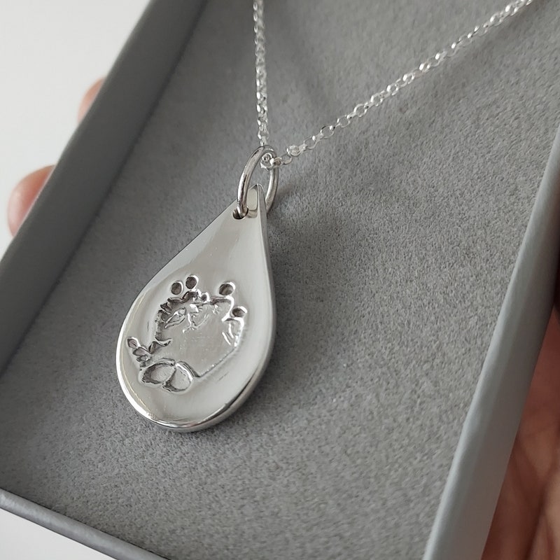 Pygmy Hedgehog - Etsy UK