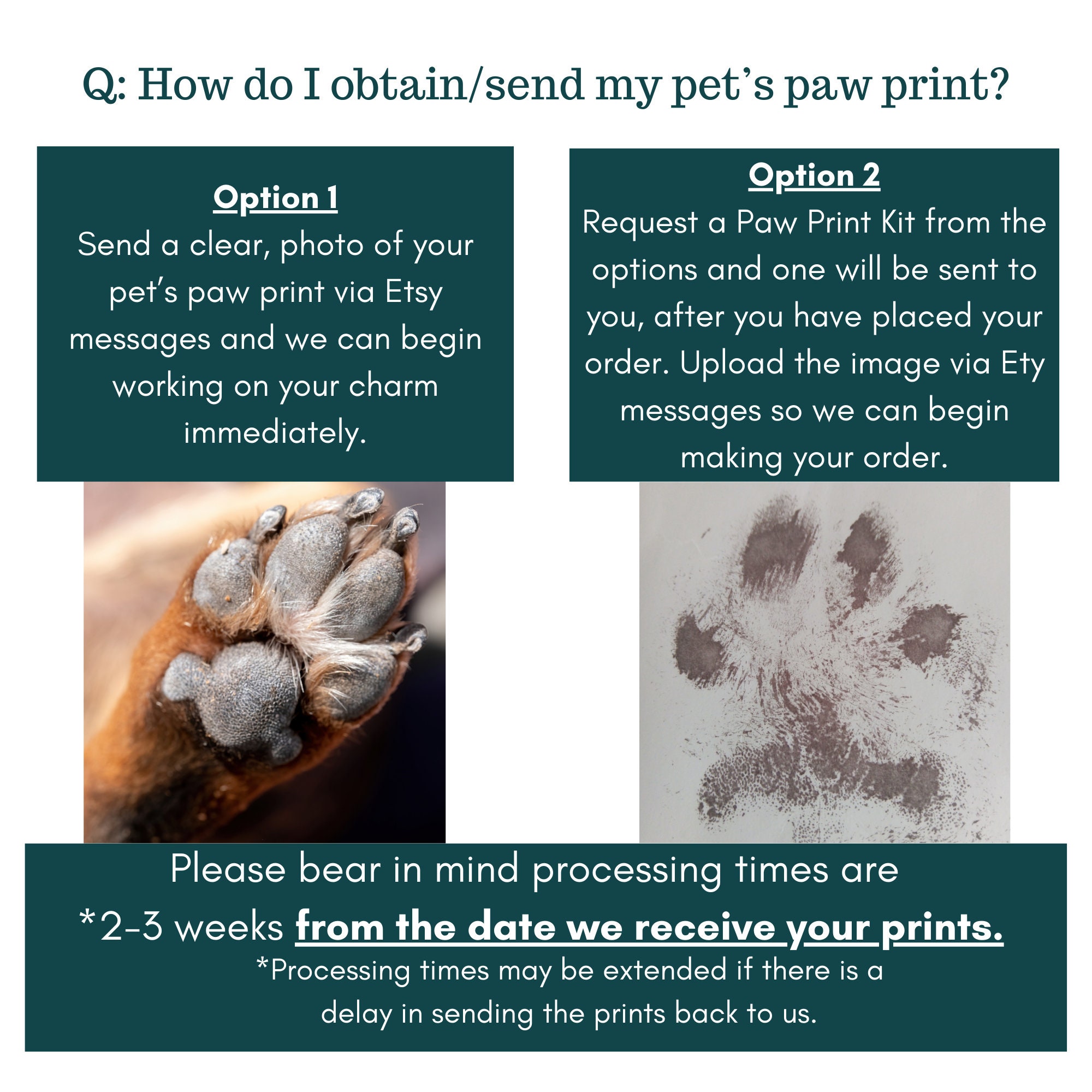 Custom Paw Print Necklace, Real Paw Print Charm, Pet Paw Jewellery in ...