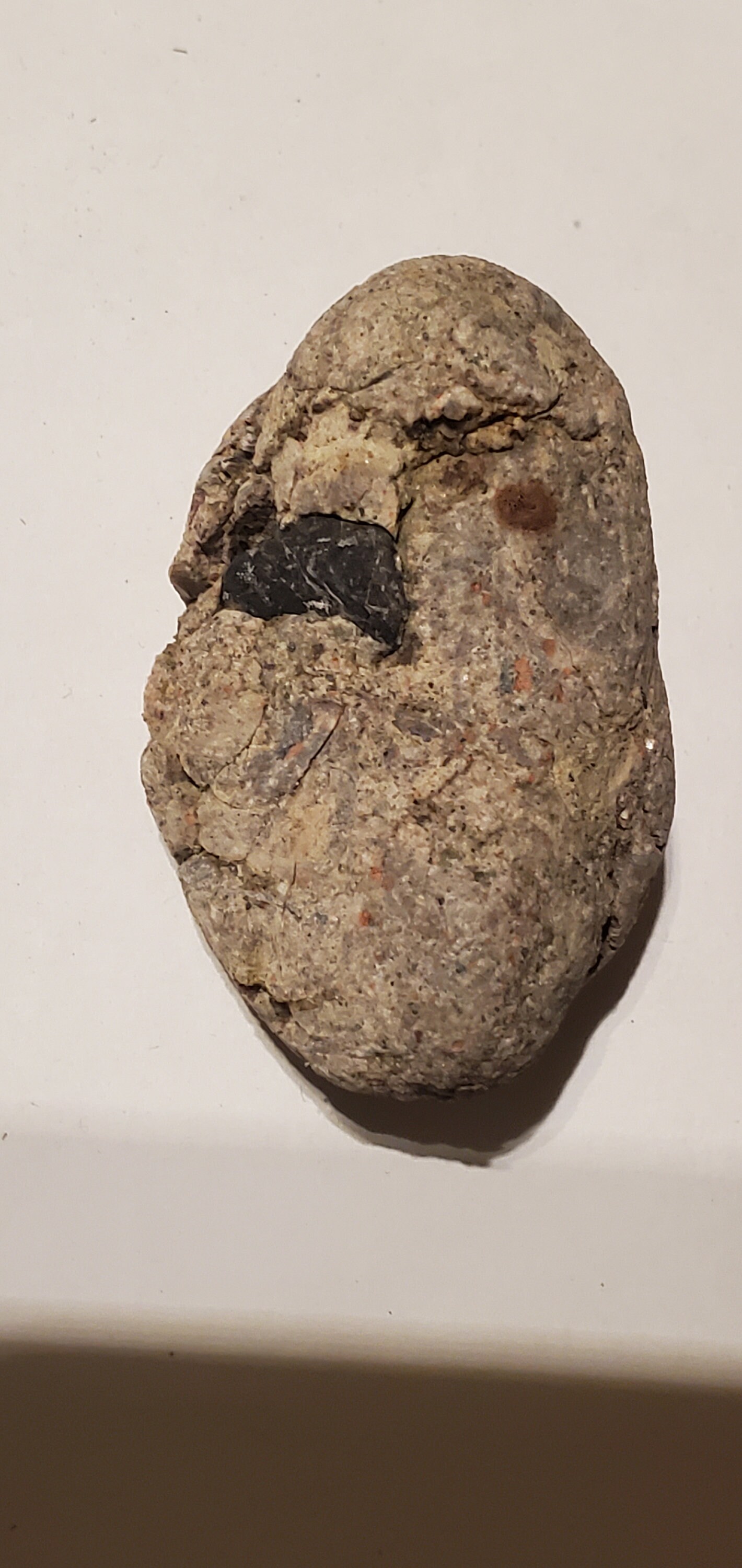 Gastrolith Effigy Stone - Etsy