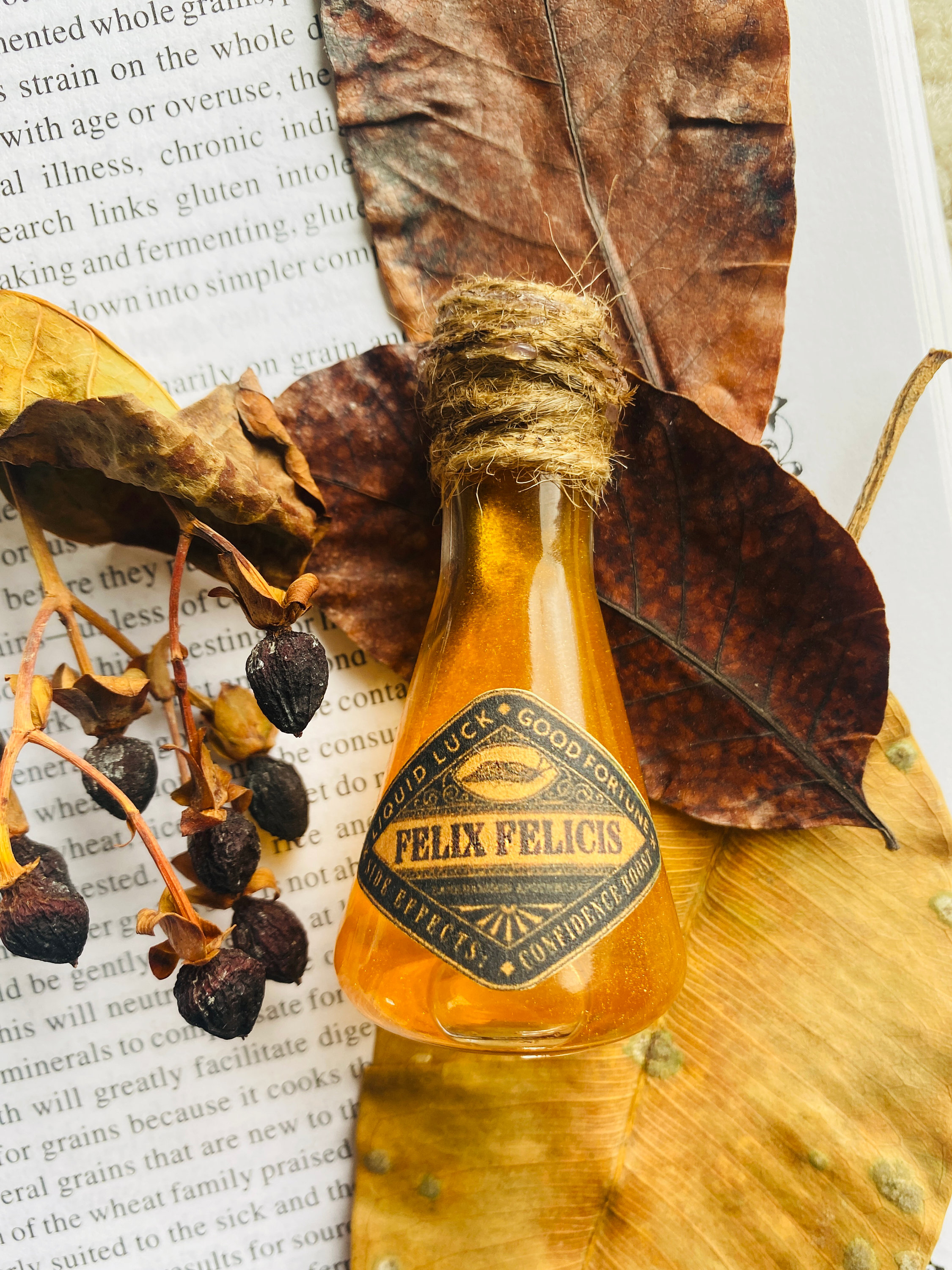 MINI Magical Potions, Magical Felix Felicis Potion Bottle, Witch and ...