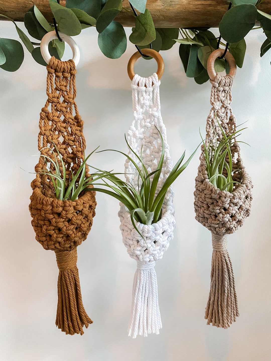 Macrame Airplant Hanger, Detailed Air Plant or Propagation Plant Hanger ...