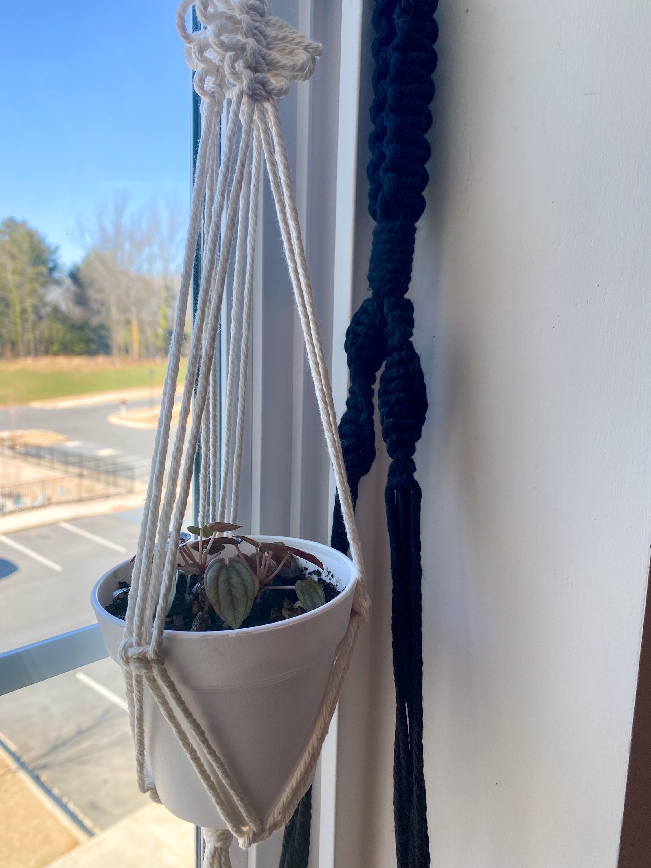 Macrame Terrarium Plant Hanger With Optional Terrarium Globe Included ...
