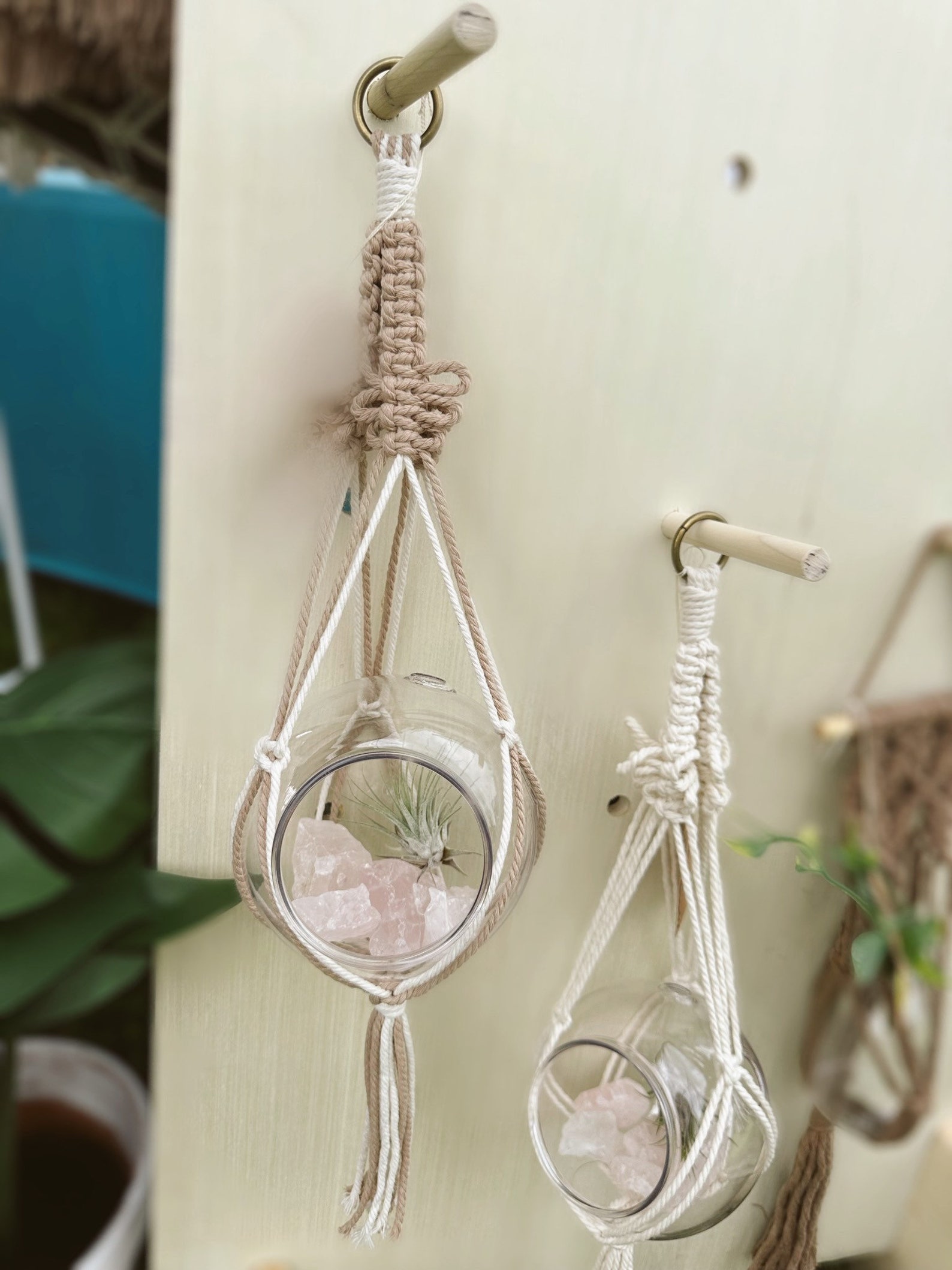 Macrame Terrarium Plant Hanger With Optional Terrarium Globe Included ...